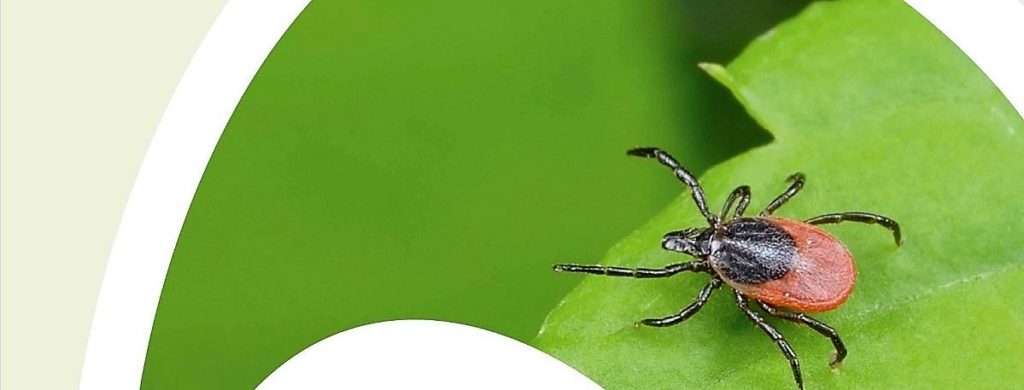 Tick Test | Academy of Nutritional Medicine