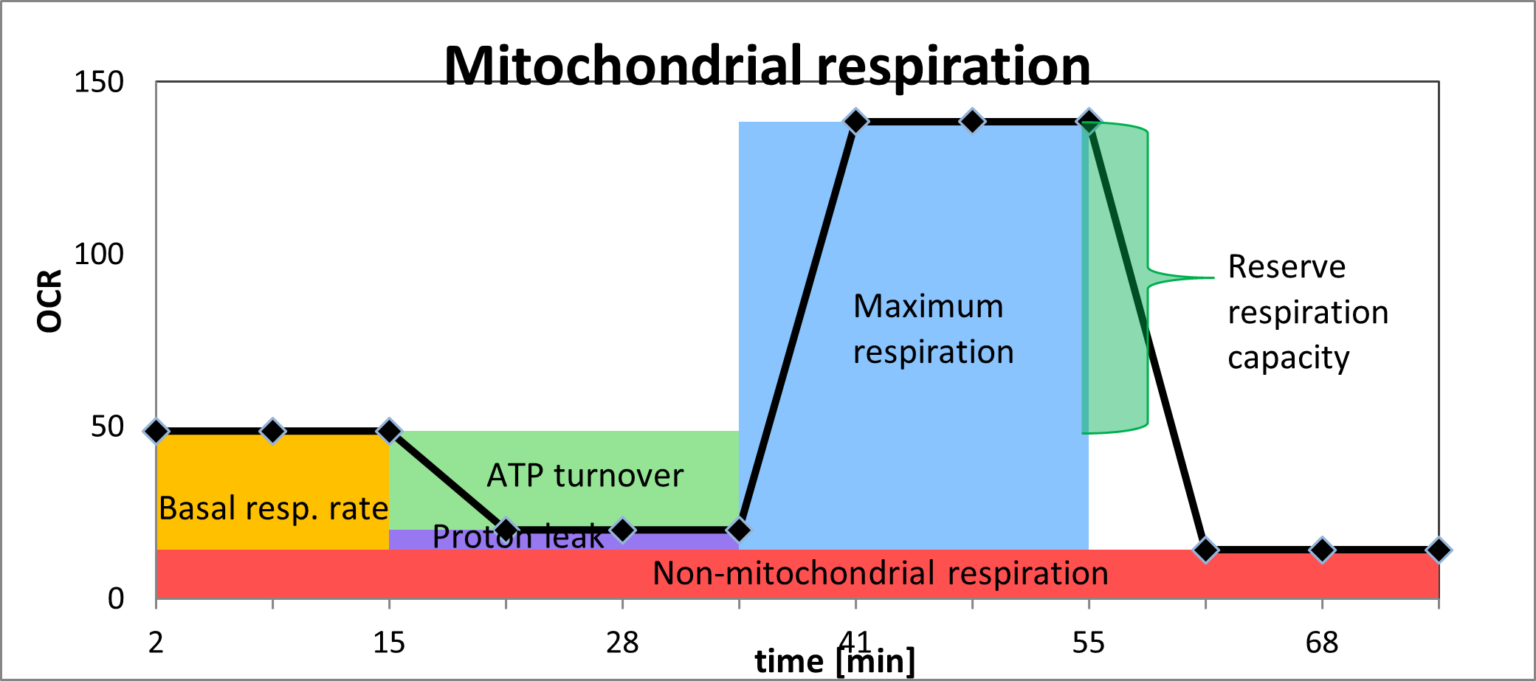 Mitochondrial Testing | Academy of Nutritional Medicine Mitochondrial ...