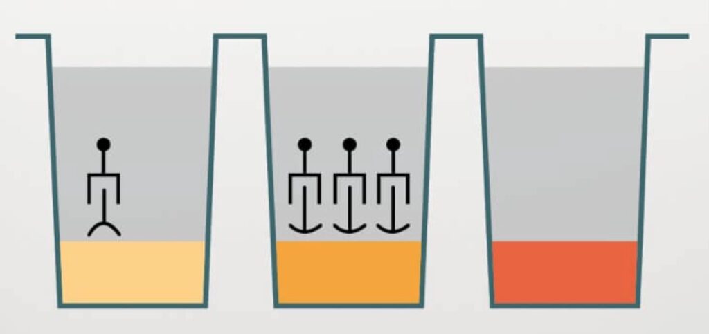 What is ImuPro food testing | Academy of Nutritional Medicine